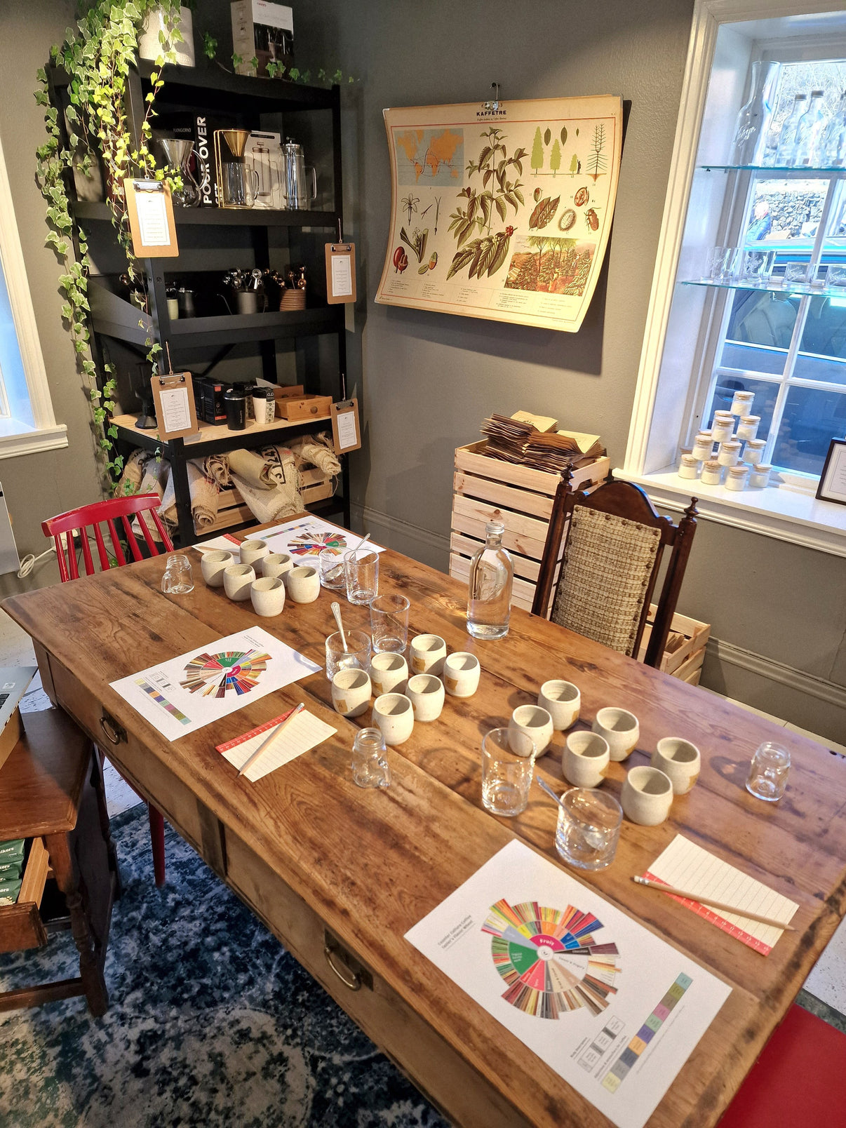 Coffee Tasting Session (Book via email) – mountainroastartisancoffee